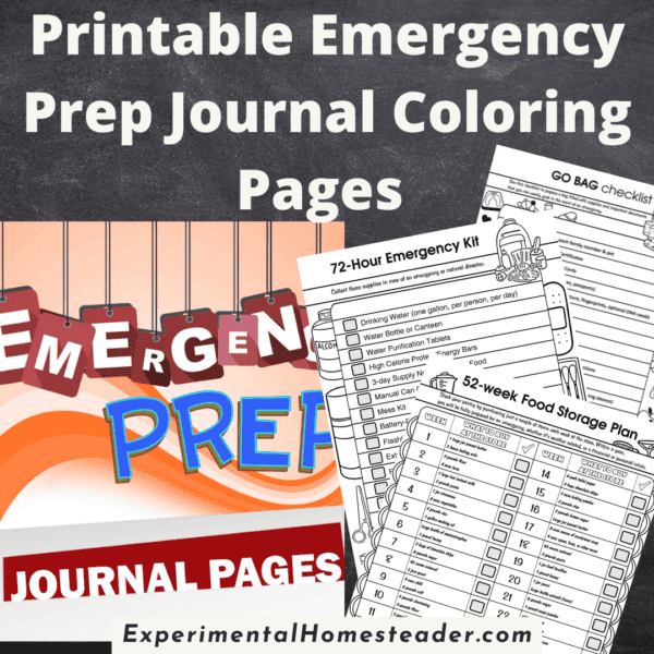Printable Emergency Prep Journal Coloring Pages - Experimental ...