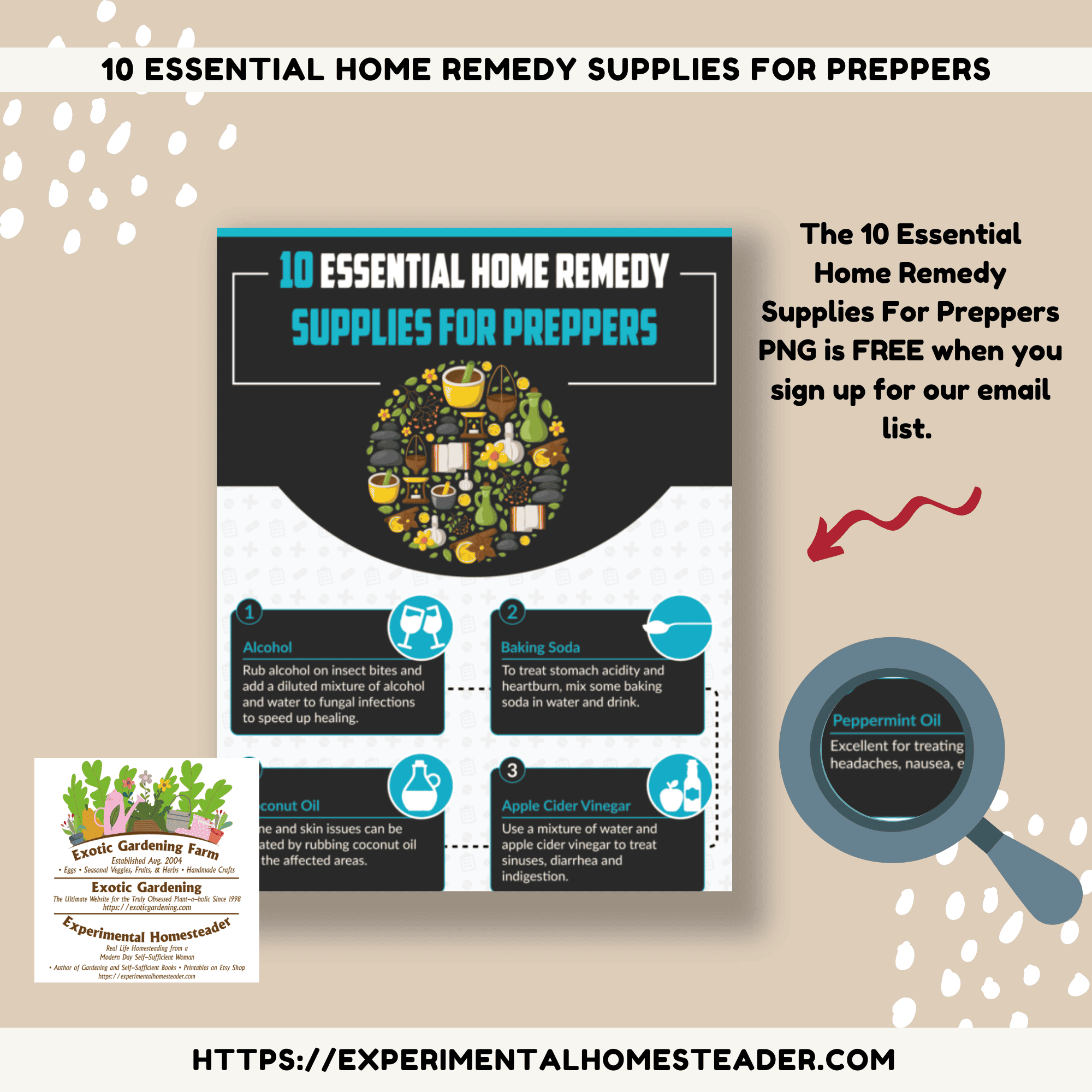 10 Essential Home Supplies For Preppers Printable - Experimental ...