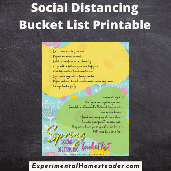 Social Distancing Bucket List Printable - Experimental Homesteader Shop