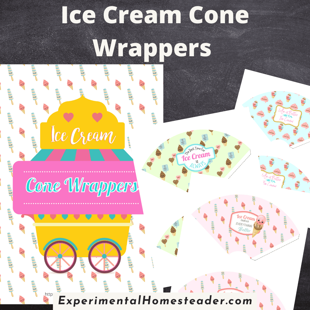 Ice Cream Cone Wrappers - Experimental Homesteader Shop